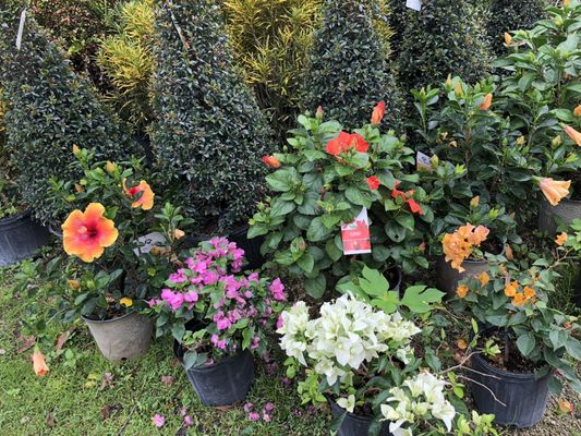 SOUTHWEST RANCHES FARMER’S MARKET - 49 Photos & 61 Reviews - 5150 S ...