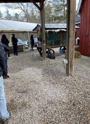 OUTPOST FARM - 40 Photos & 68 Reviews - CSA - 216 Prentice St ...