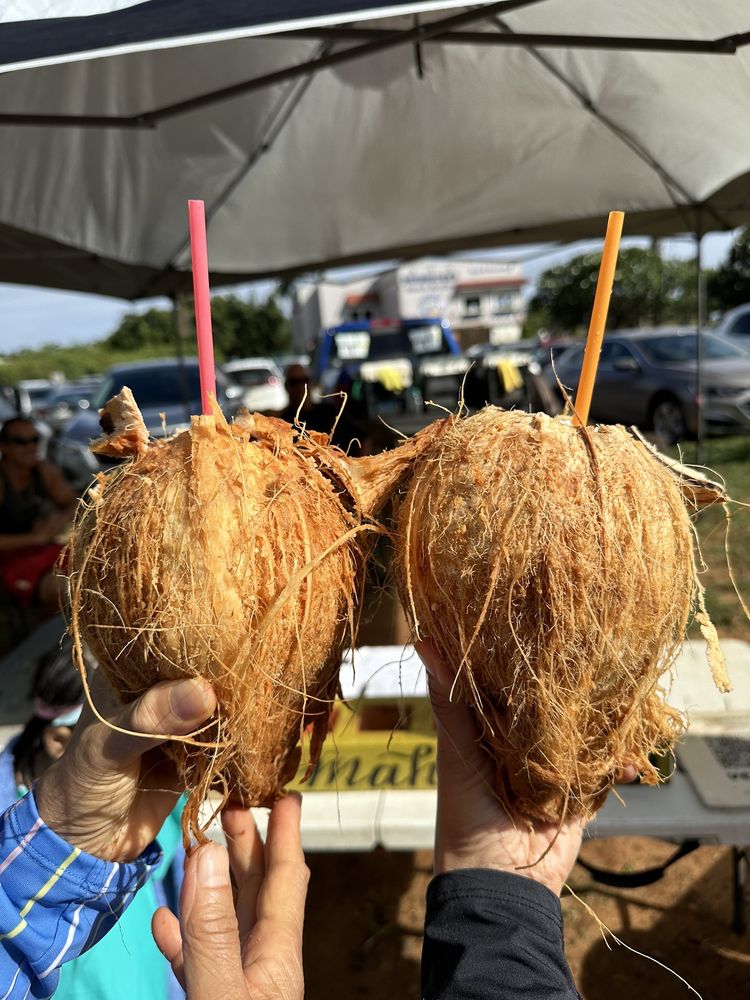 Kimo’s Coconuts - Reserve Now - Food Trucks - Updated June 2025 - 12 ...