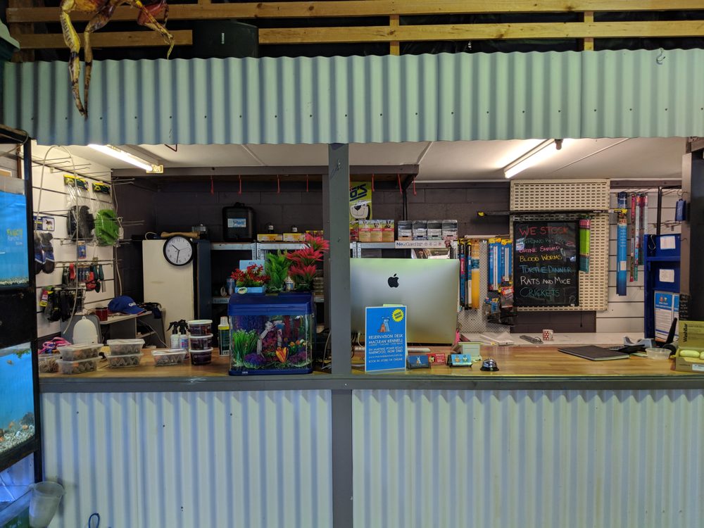BUBBLE & SQUEAK PET SHOP - Updated July 2025 - 4 Church St, Maclean New ...