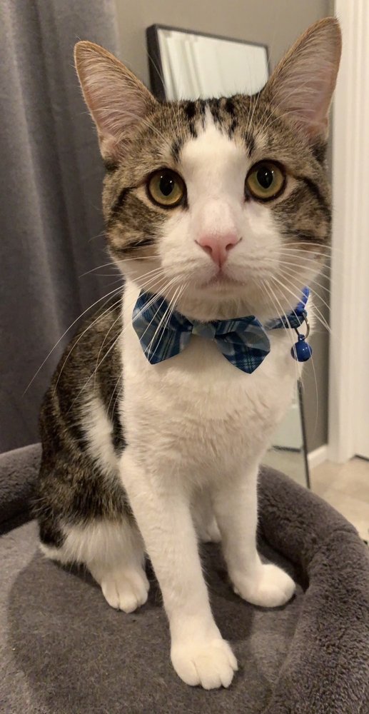 PALS - Updated December 2025 - 68 Photos & 117 Reviews - 3629 N 40th ...