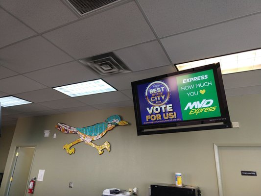 MVD EXPRESS - Updated October 2025 - 13 Photos & 44 Reviews - 3961 East ...