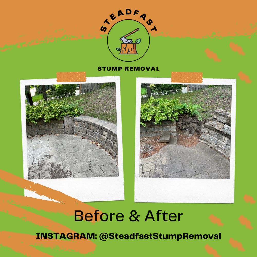 STEADFAST STUMP REMOVAL - Toronto, Ontario, Canada - Tree Services ...