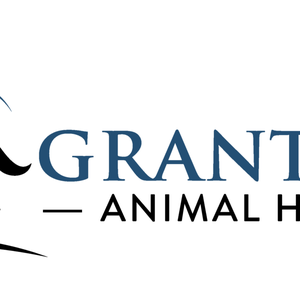 HIGH RIDGE ANIMAL HOSPITAL - Updated August 2025 - 13 Reviews - 2612 ...