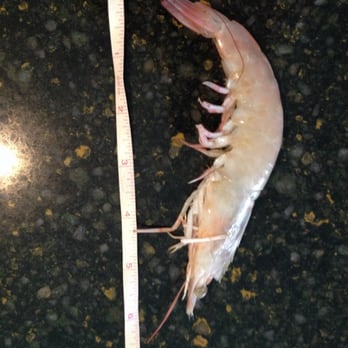 LOCKHART’S SEAFOOD - 37 Photos & 15 Reviews - 589 Island Dr, Tarpon ...