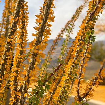 SUNSET POINT REST AREA - Updated June 2024 - 255 Photos & 50 Reviews ...