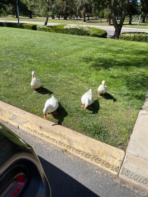 FRESNO HEART & SURGICAL HOSPITAL - Updated June 2026 - 23 Photos & 47 ...