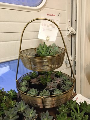 THAT FEELING CO - 97 Photos & 23 Reviews - Coffee & Tea - 1721 E ...