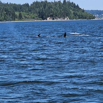 PUGET SOUND EXPRESS - Updated January 2026 - 231 Photos & 93 Reviews ...