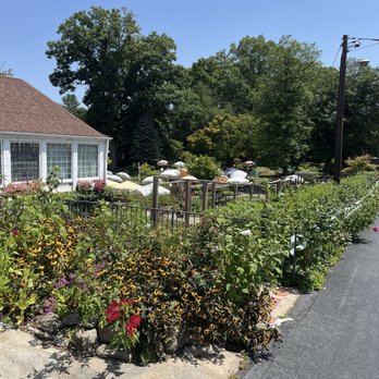 ZINNIA - Updated April 2025 - 382 Photos & 247 Reviews - 9201 ...