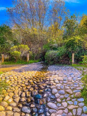 EL POLIN SPRING - Updated October 2025 - 45 Photos & 11 Reviews - San ...