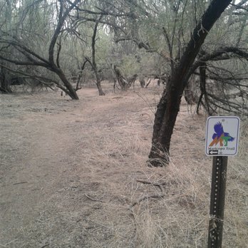 COON BLUFF - Updated December 2025 - 49 Photos & 13 Reviews - Coon ...