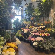 STEVE’S FLOWER MARKET - 520 Photos & 321 Reviews - 1039 W Grand Ave ...