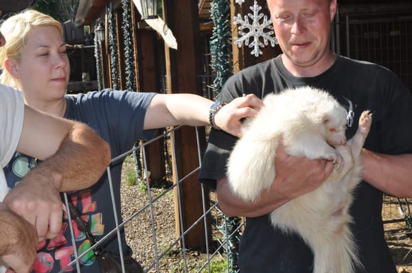 FUR-EVER WILD - Updated December 2025 - 26 Photos - 10132 235th St W ...