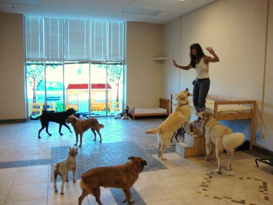 CAMP RUFF HOUSE - Updated December 2025 - 14 Reviews - 3923 88th St NE ...