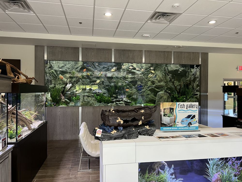 FISH GALLERY with 33 real customer photos - Updated August 2024 - 67 ...