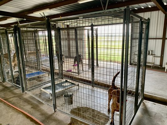 MARKS-A-LOT KENNELS - Updated December 2025 - Request Consultation - 16 ...