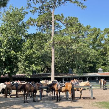 LAWTON STABLES - Updated November 2024 - 138 Photos & 77 Reviews - 190 ...