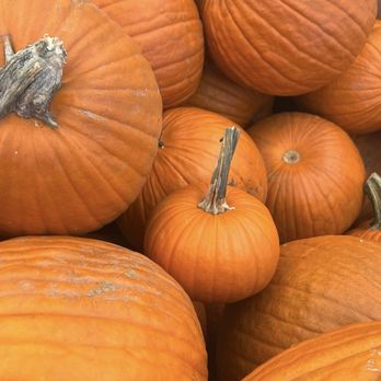 WEBER’S FARM - Updated November 2024 - 237 Photos & 148 Reviews - 2526 ...