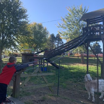 KINGSWAY PUMPKIN FARM - Updated January 2026 - 45 Photos & 19 Verified ...