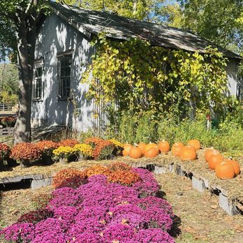 STYER ORCHARD - Updated November 2025 - 90 Photos & 60 Reviews - 97 ...