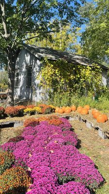 STYER ORCHARD - Updated October 2025 - 90 Photos & 60 Reviews - 97 ...