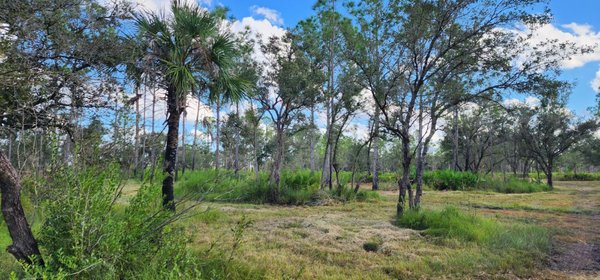 LIGHTSEY FAMILY RANCH - Updated October 2025 - 25 Photos - 545 New Boot ...