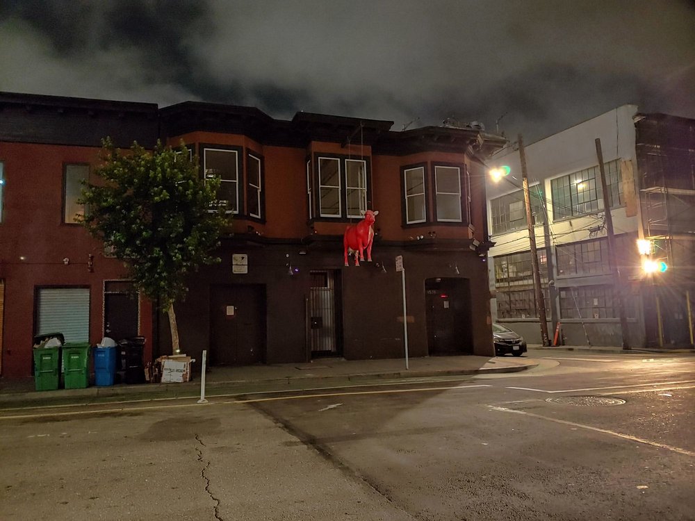 HOLY COW NIGHTCLUB - Updated July 2024 - 123 Photos & 691 Reviews ...