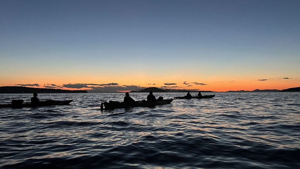 SEA QUEST KAYAK TOURS - Updated December 2025 - 169 Photos & 189 ...