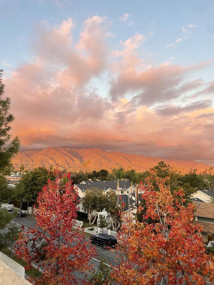 PASADENA CITY COLLEGE - Updated October 2025 - 412 Photos & 251 Reviews ...