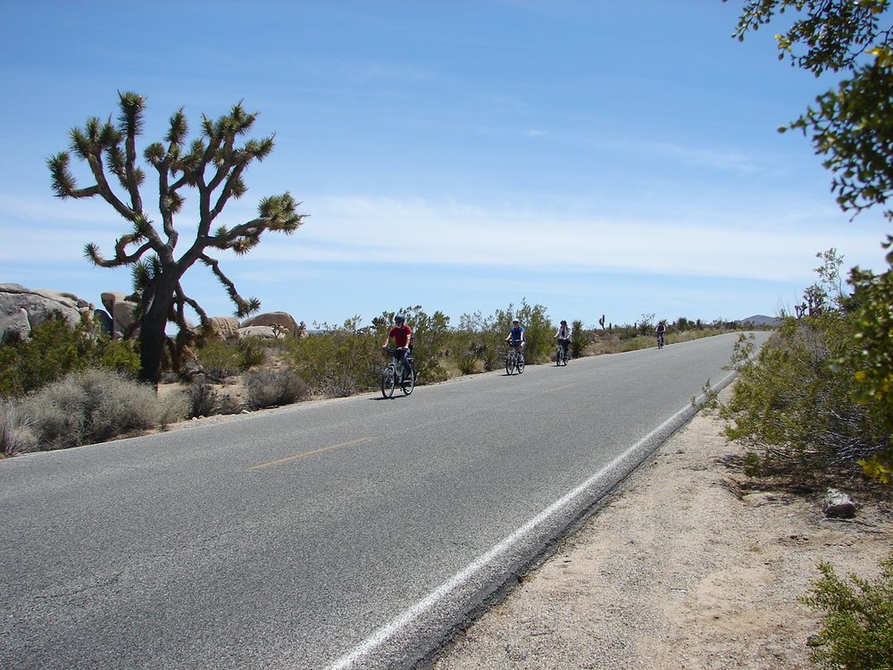 JT EBIKES - Updated April 2025 - 10 Photos - Joshua Tree, California ...