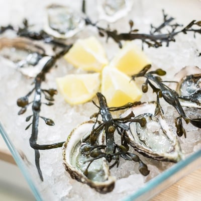 MOBILIS IN MOBILI - Updated September 2024 - 131 Photos & 55 Reviews ...