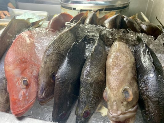 TOP SPOT FOOD COURT - 51 Photos & 12 Reviews - Jalan Bukit Mata Kuching ...