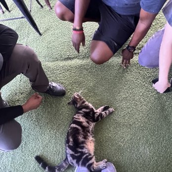 PIQUET ENTERTAINMENT & RACE PARK - Updated December 2025 - 60 Photos ...