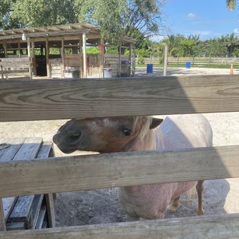 MARANDO FARMS & RANCH - Updated November 2025 - 375 Photos & 127 ...