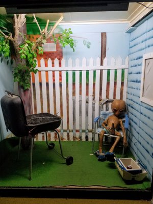 THE ALIEN ZONE - 182 Photos & 91 Reviews - 216 N Main St, Roswell, NM ...