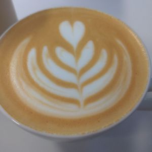 ELEVATION COFFEE ROASTERS - 67 Photos & 40 Reviews - Coffee Roasteries ...