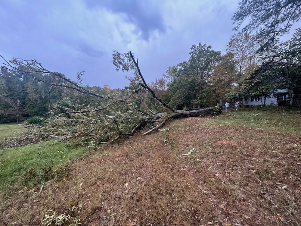 BIG TREE SERVICE - Updated April 2025 - Request a Quote - Elgin, South ...