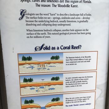 LEON SINKS GEOLOGICAL AREA - Updated July 2025 - 52 Photos & 15 Reviews ...