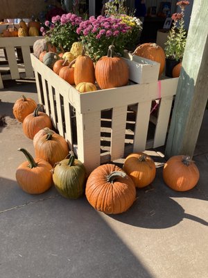 FORDYCE FARM - Updated January 2026 - 46 Photos & 21 Verified Reviews ...