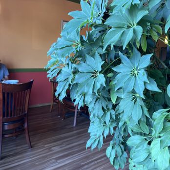 PHO BOTHELL - Updated December 2025 - 67 Photos & 252 Reviews - 18002 ...