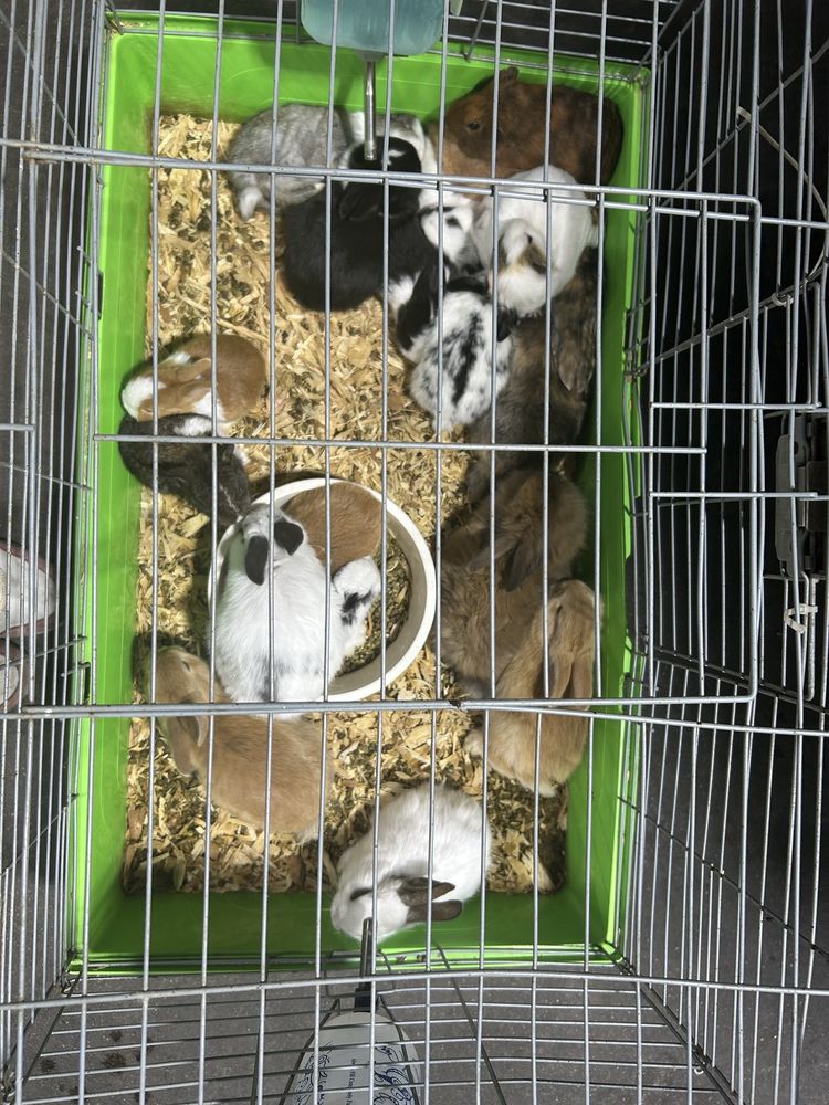 JESSE’S PET & FEED STORE - Updated May 2026 - 12 Reviews - 111 Amador ...