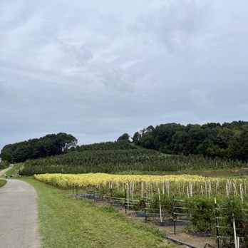 CIDER HILL FARM - Updated October 2025 - 404 Photos & 284 Reviews - 45 ...