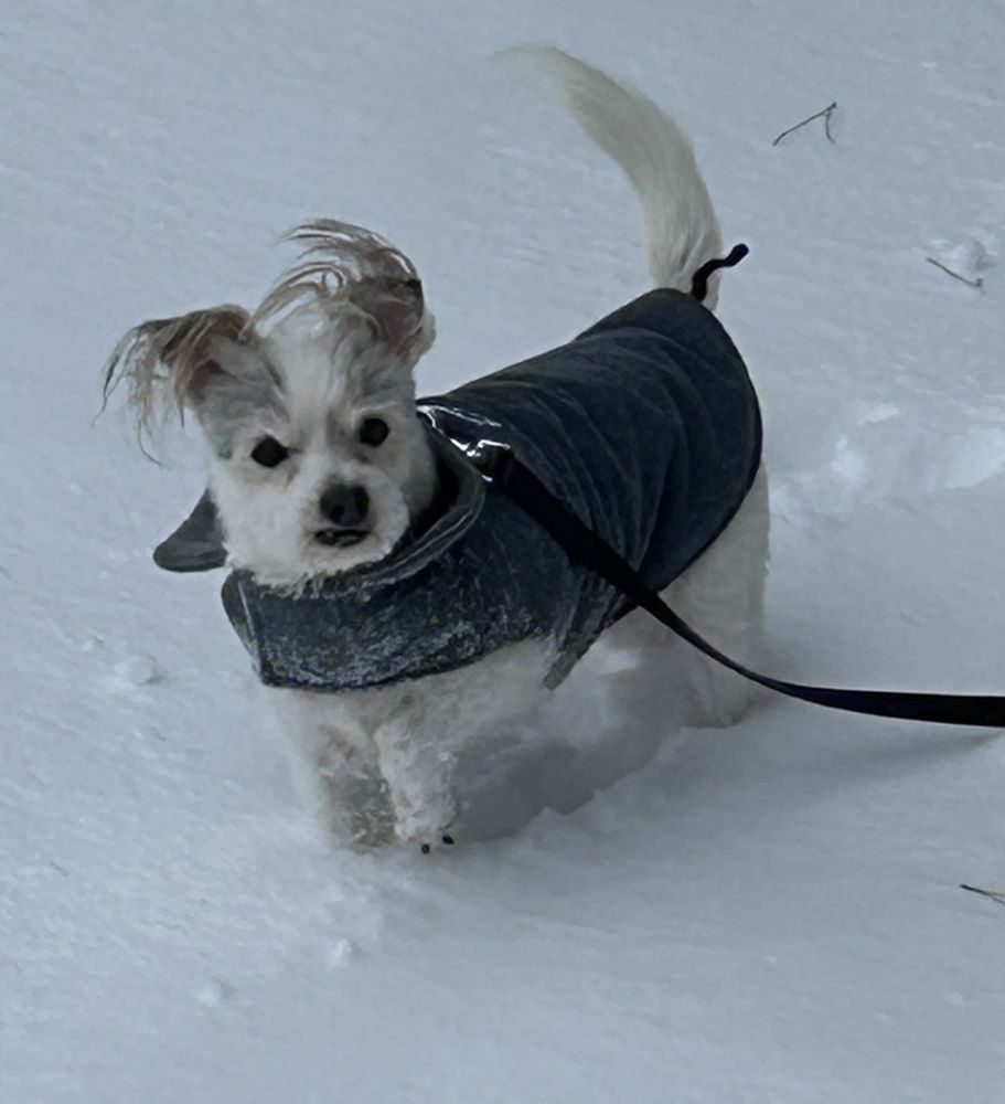 MACOMB COUNTY ANIMAL CONTROL - Updated October 2025 - 19 Photos & 18 ...