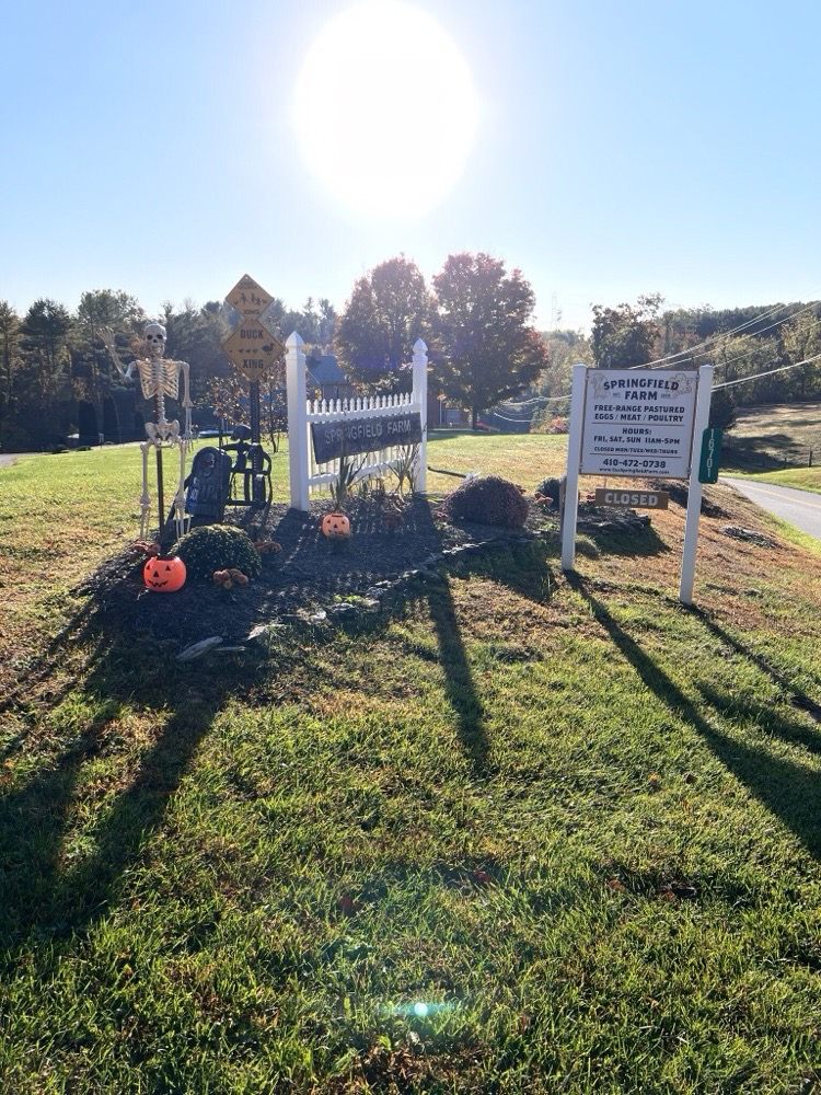 SPRINGFIELD FARM - Updated December 2025 - 16701 Yeoho Rd, Sparks ...