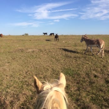 BROKEN BOW RANCH - Updated October 2025 - 45 Photos - 63 Reviews - 1755 ...