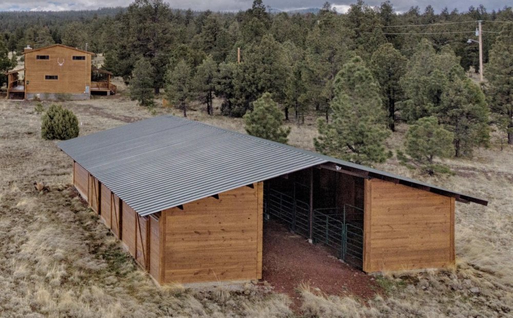 ANNA-LISA TONGE’-SOUERS - ANNA-LISA SELLS - Updated April 2024 - 12 ...