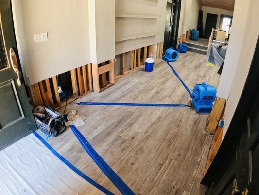 Drylux - Updated June 2026 - 68 Photos & 131 Reviews - 1240 North ...