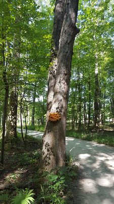 SANDY RIDGE RESERVATION - Updated July 2024 - 19 Photos - 6195 Otten Rd ...