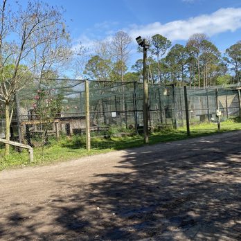 CATTY SHACK RANCH WILDLIFE SANCTUARY - Updated July 2025 - 690 Photos ...